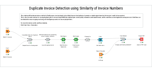 Accounts Payable - Duplicate Invoice Detection and Audit — NodePit